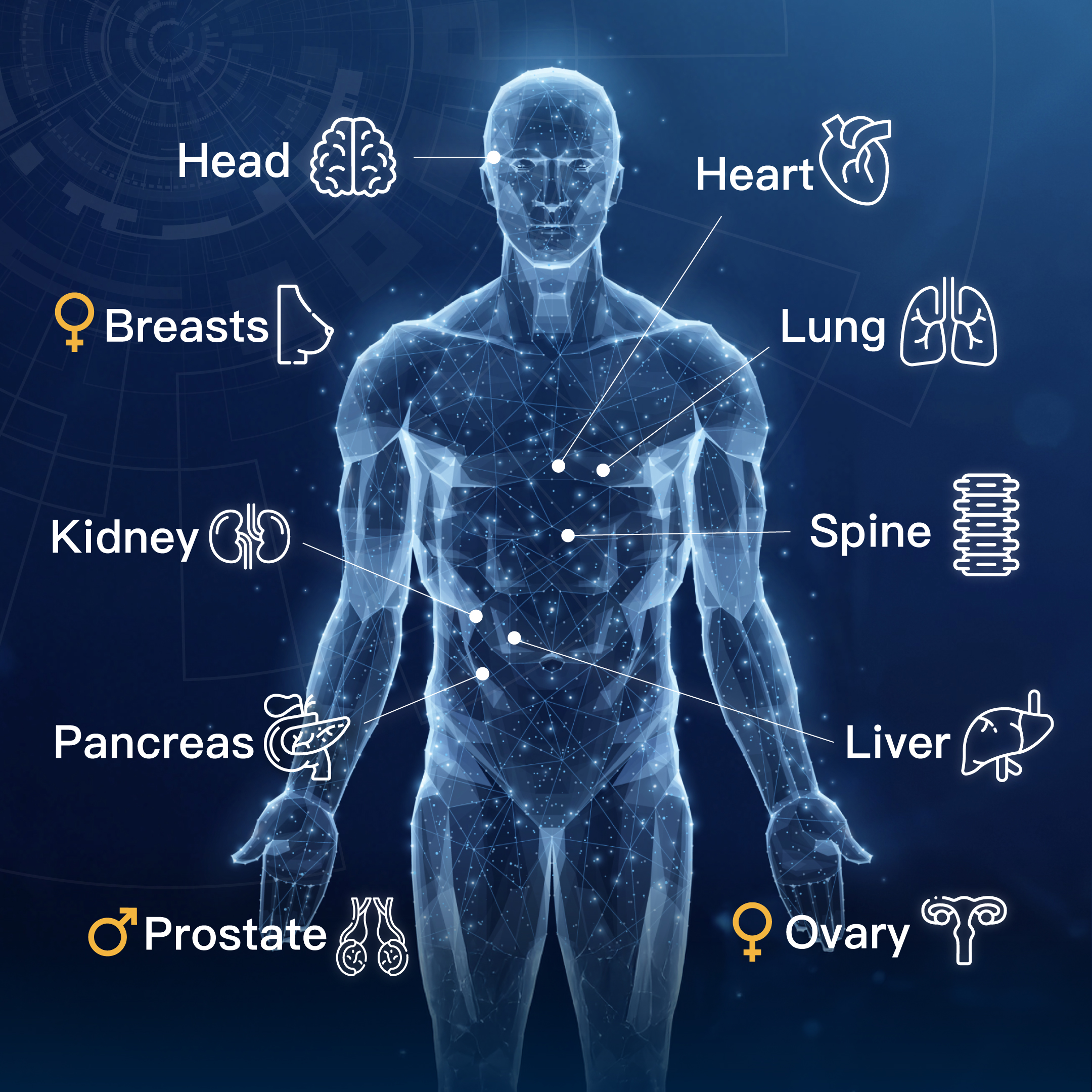 【2026 Picks】Supreme Whole-body MRI Health Screening | Health Check ...